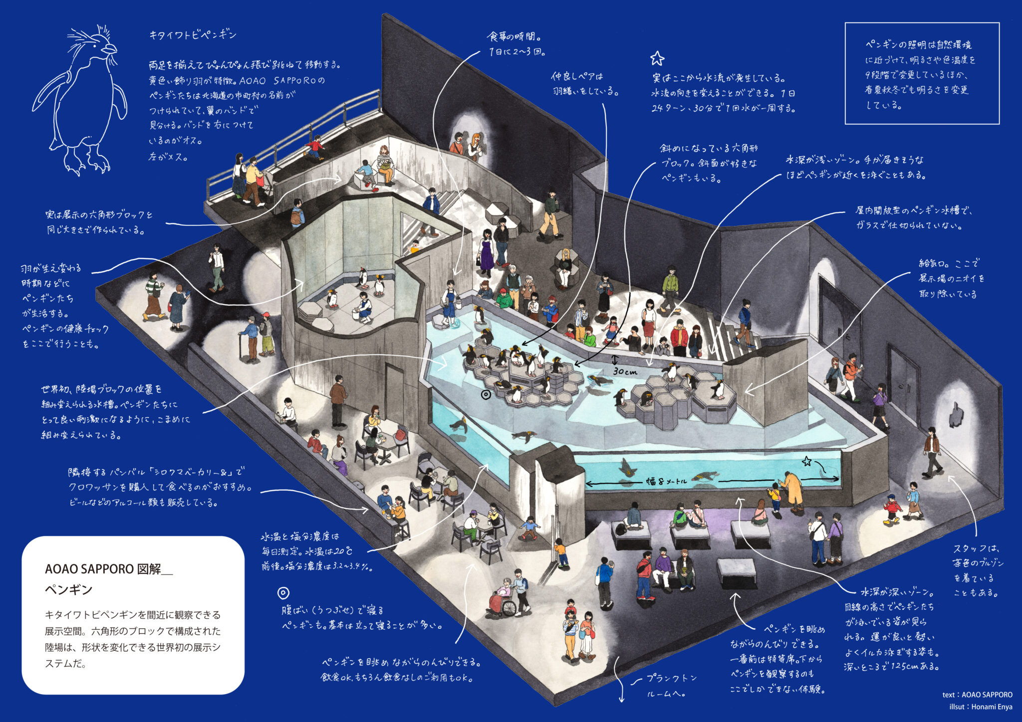 特別体験プログラム「つくってみよう！自分だけのAOAO図解」 - AOAO SAPPORO | 生命のワンダー 〜みえないものがみえてくる〜